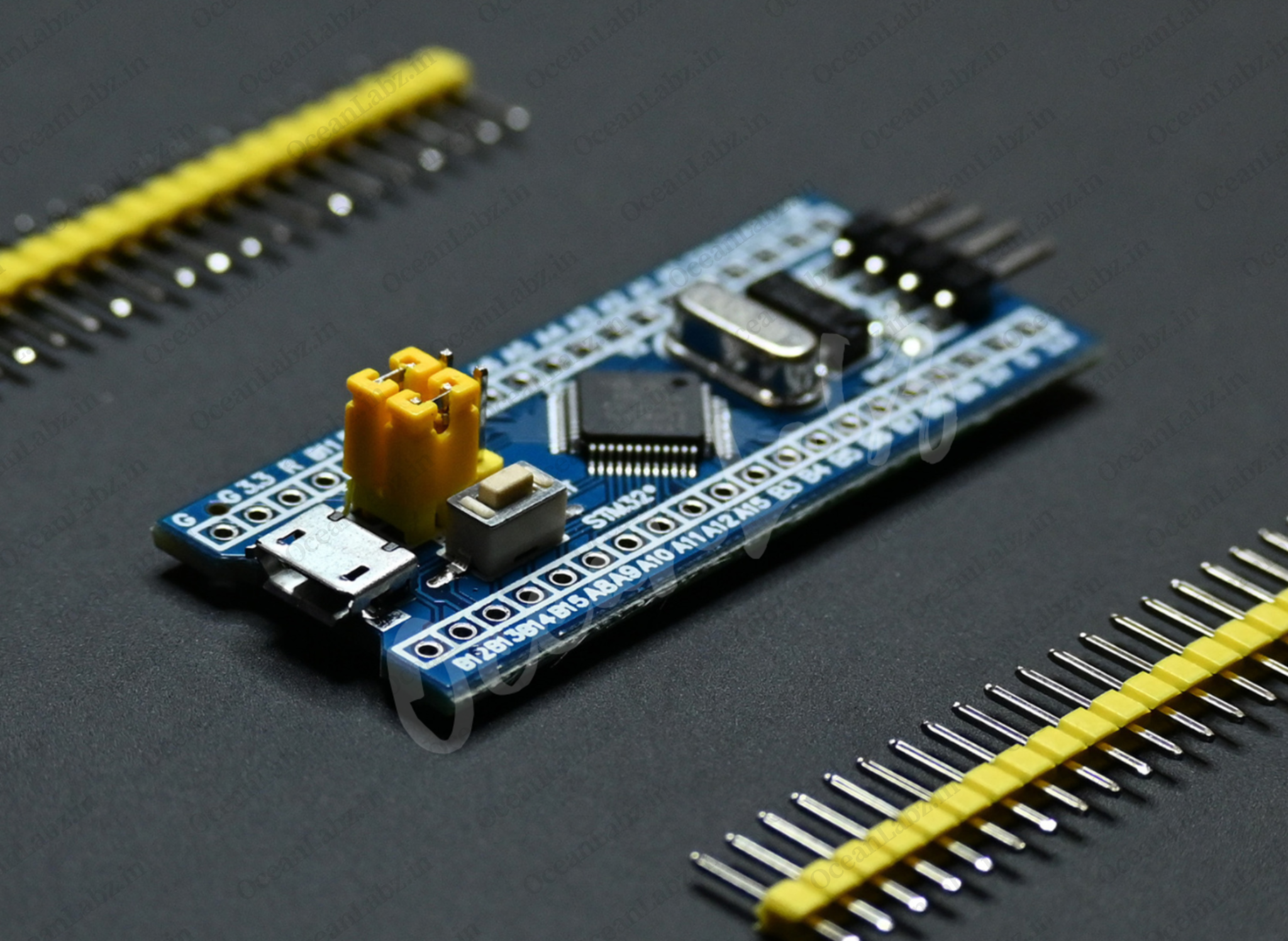 Getting Started With STM32F103C8T6 Board - OceanLabz